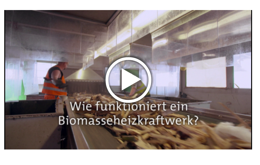 Video Wie Funktioniert Ein Biomasseheizkraftwerk Energie Macht Schule